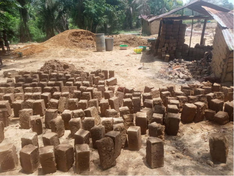 Freshly Molded dirt bricks being dried in the sun in Bethel Town - New ...